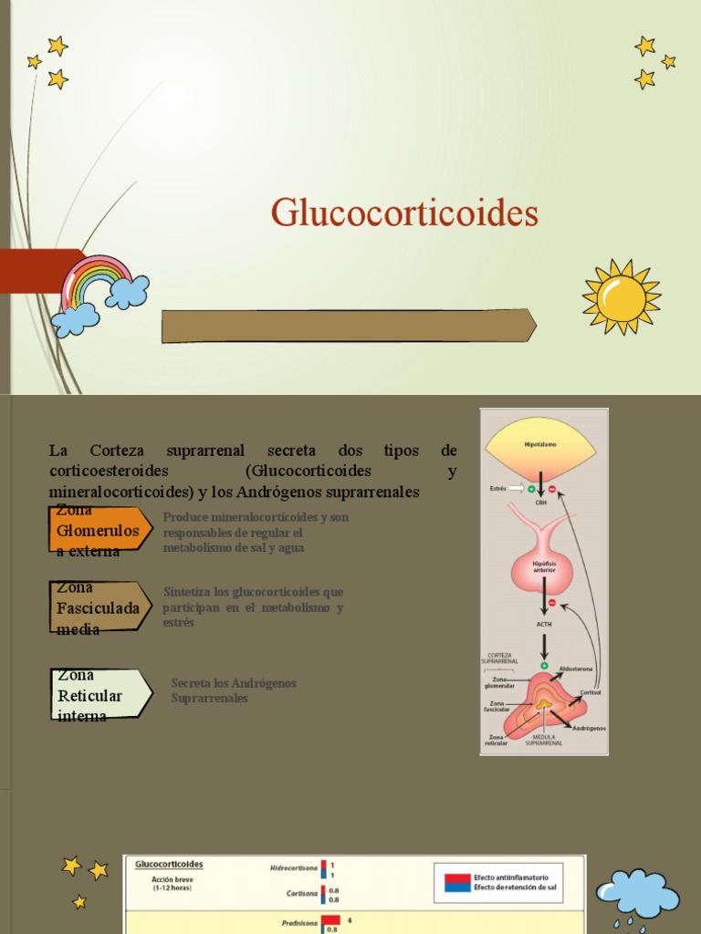 GLUCOCORTICOIDES | PDF | Glucocorticoides | Glándula suprarrenal