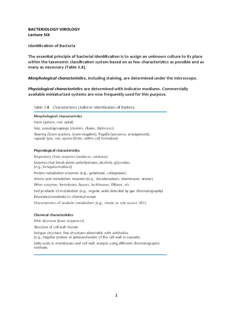 Bacteriology Virology - Lec - 6 | PDF | Fungus | Bacteria