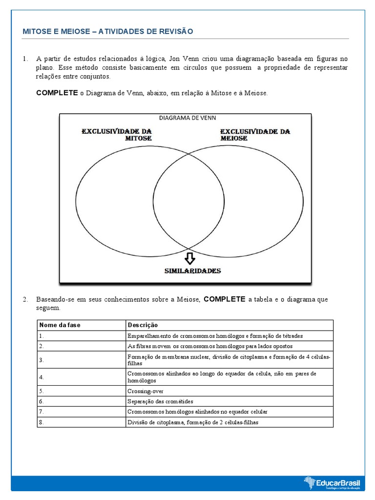 Atividade Meiose e Mitose | PDF | Meiose | Mitose