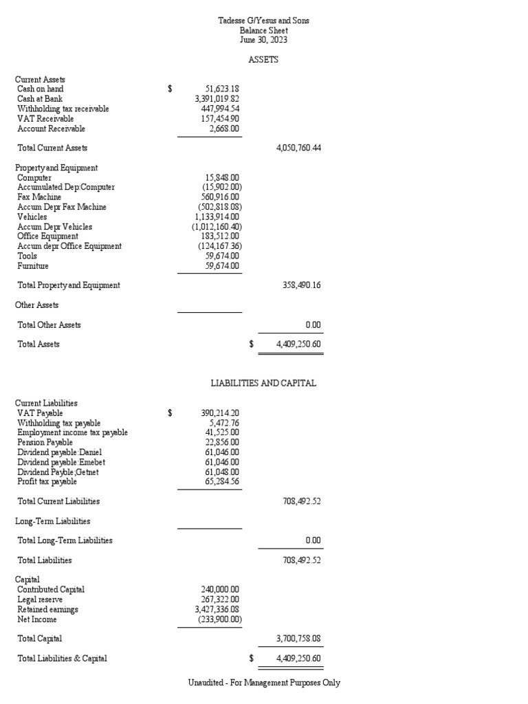 Balance Sheet | Download Free PDF | Balance Sheet | Dividend