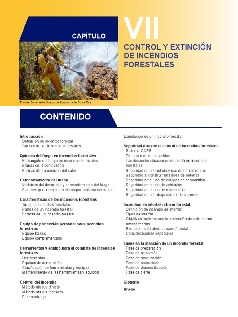 Capitulo Vii Control y Extincion de Incendios Forestales PDF | PDF | Fuego fatuo | Herida