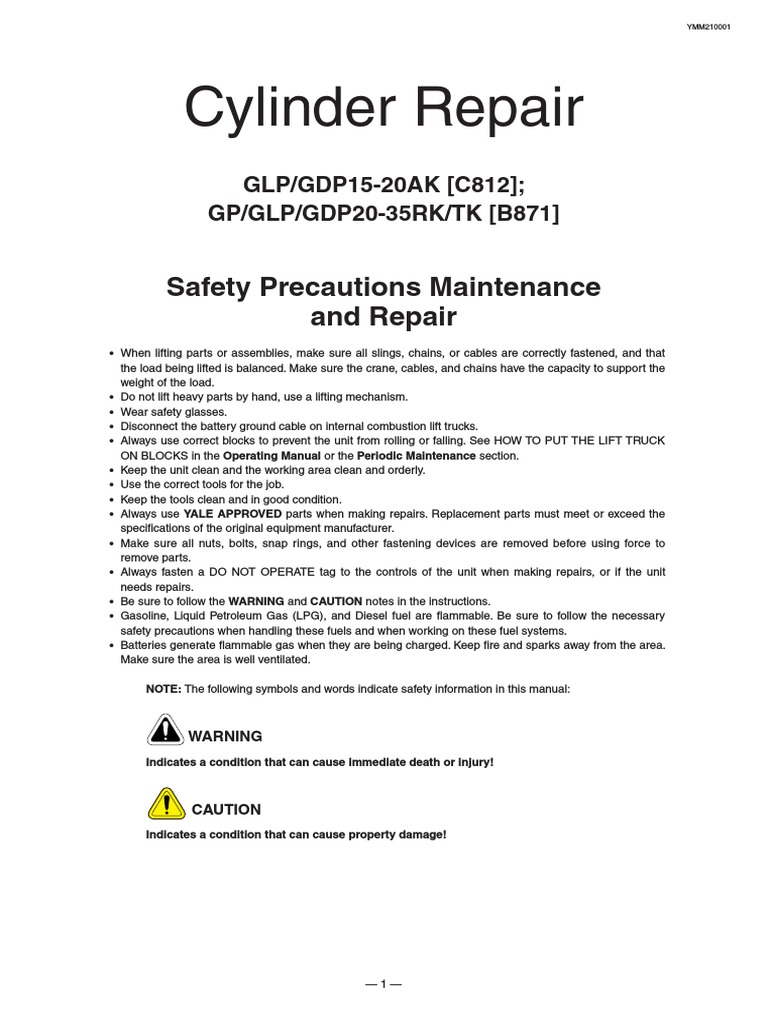 Cylinder Repair Procedures | PDF | Piston | Elevator
