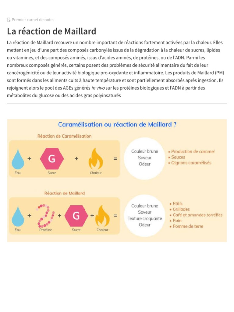 Resume Cours RM | PDF