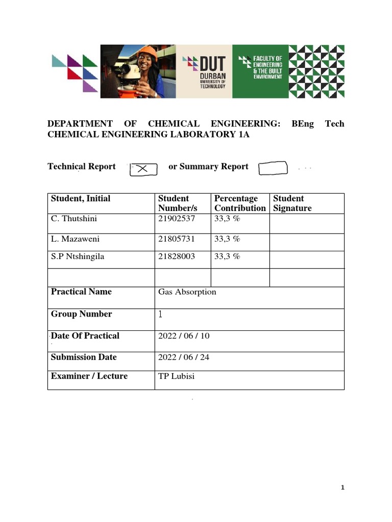 Gas Absorption Group Report | PDF | Phase (Matter) | Gases