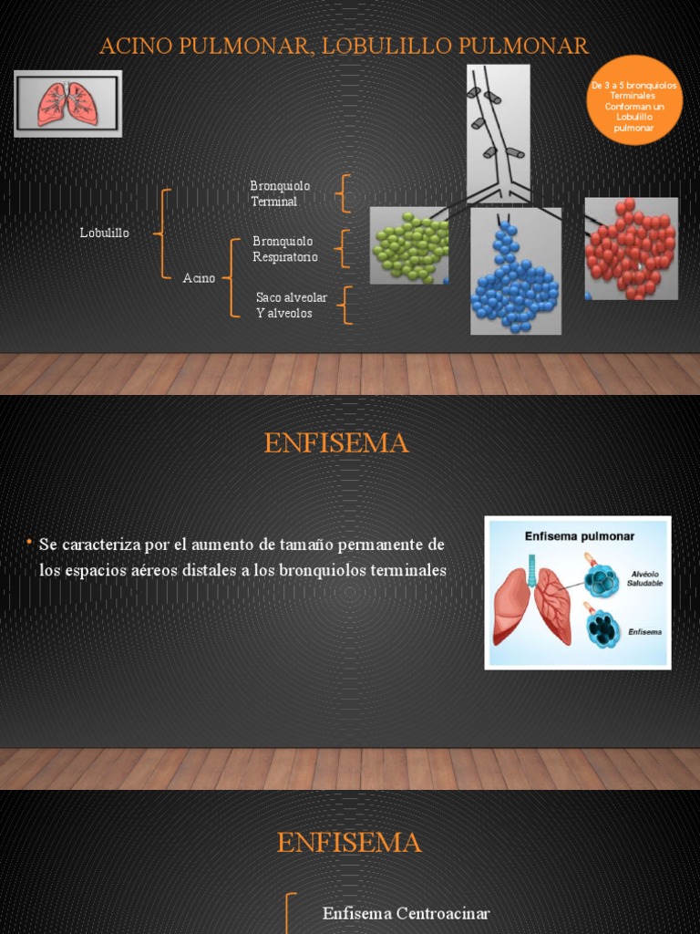 Tipos de enfisema pulmonar y su patología | PDF | Medicina ...