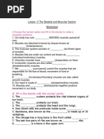Grade 4 Skeletal System Worksheet | PDF | Skeleton | Bone