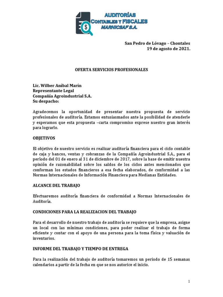 Modelo de Oferta Técnica | Descargar gratis PDF | Auditoría | Estado ...