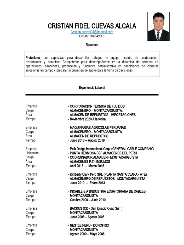 CV - Cuevas | PDF