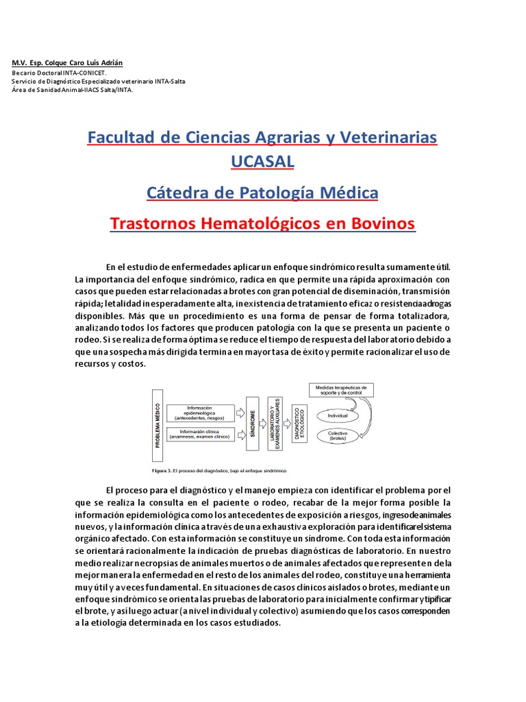 Diagnóstico de Anemia en Bovinos | PDF | Anemia | Glóbulo rojo