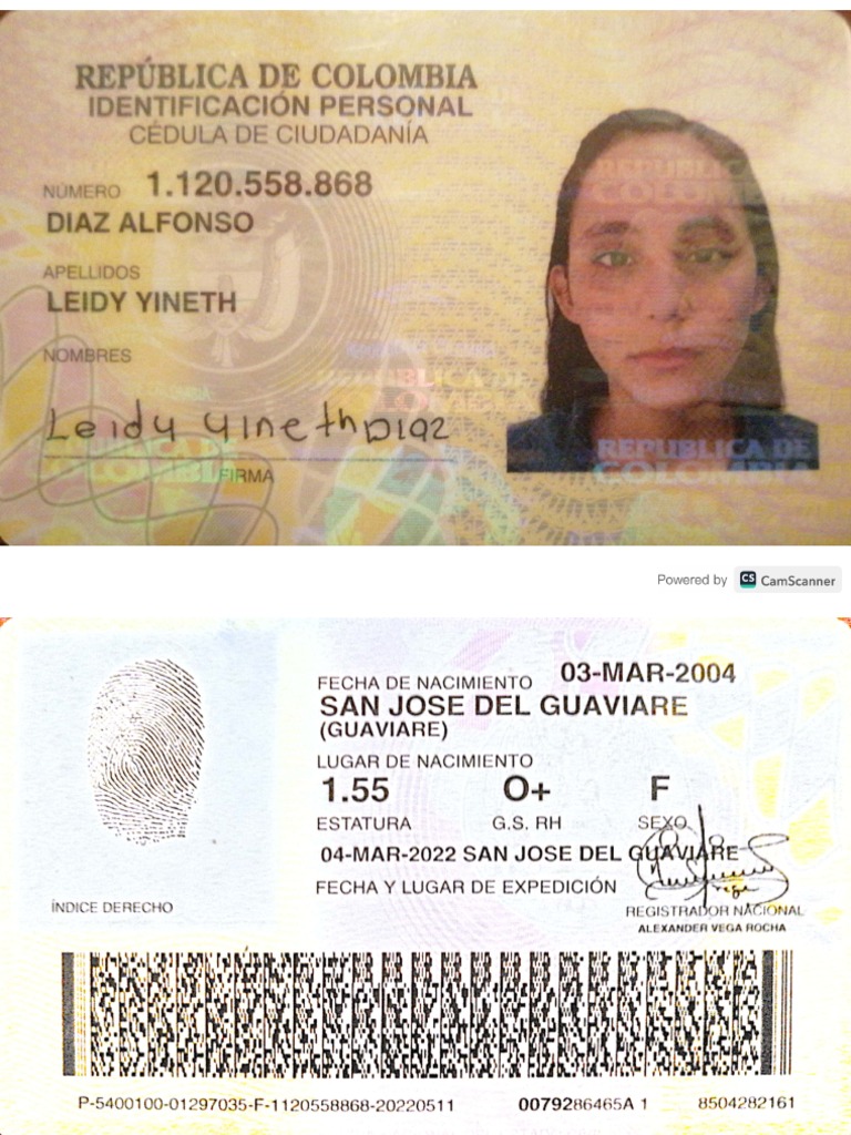 CC y Rut - Leidy Diaz | PDF