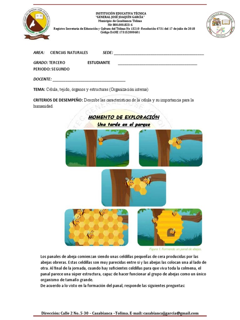 Guia Ciencias Naturales Grado 3 Periodo 2 Celular, Niveles, Sistemas ...