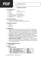 Informe Ejemplo Wisc V | PDF | Memoria | Memoria de trabajo