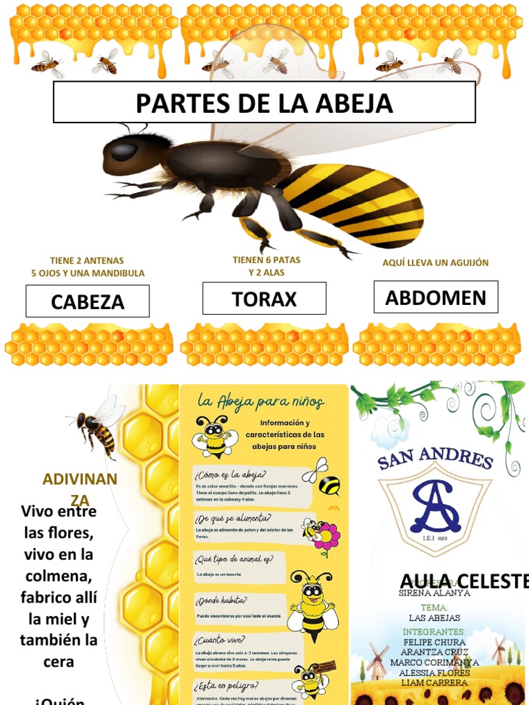 Triptico Abejas | PDF