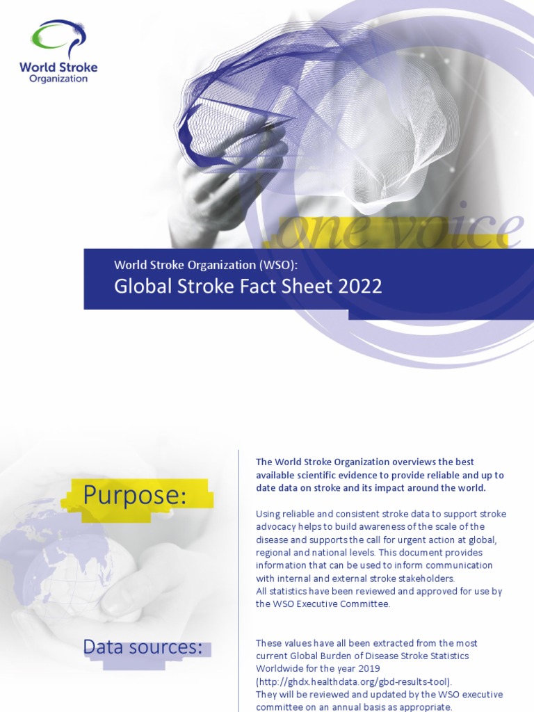 WSO Global Stroke Fact Sheet | PDF | Health Sciences | Public Health