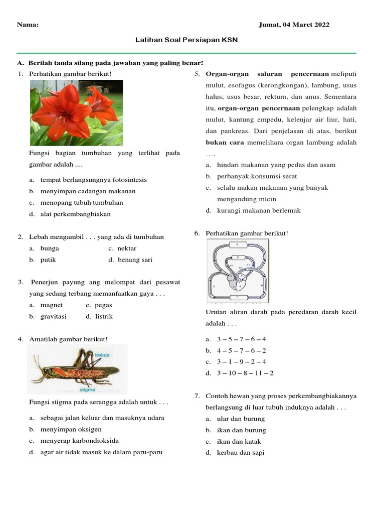 Latihan Soal Persiapan KSN IPA Kompetensi 1-25 (Pilgan) Part 3 (Tidak Sesuai Kompetensi Terbaru ...