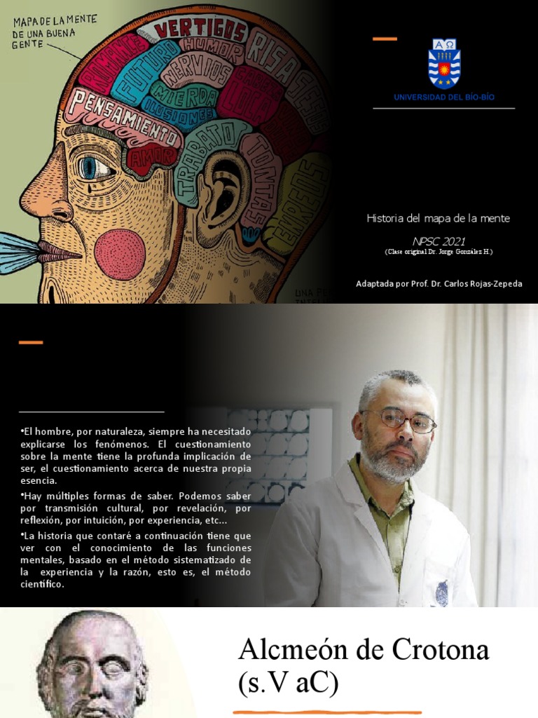 NPSC (history) | PDF | Afasia | Neuropsicología