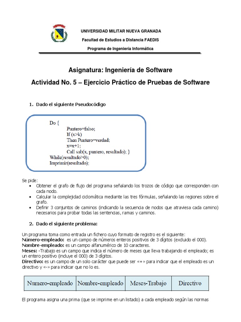 Actividad 5 Ejercicio Practico de Pruebas de Software | PDF | Programa de computadora | Programación