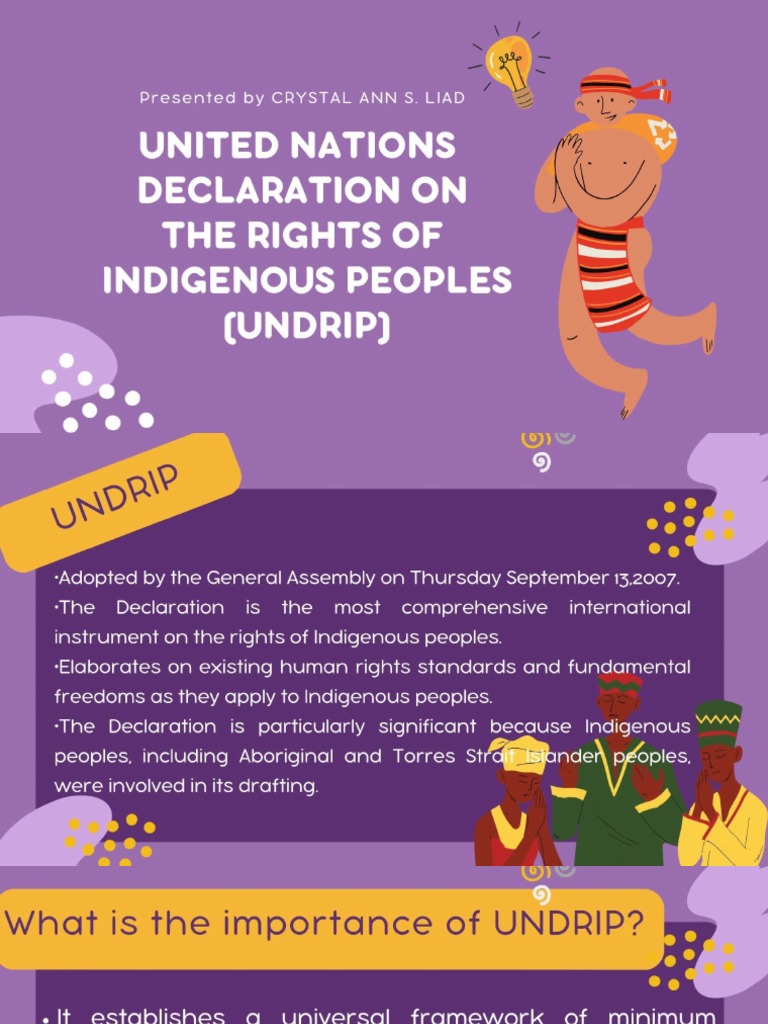 Undrip Law | PDF