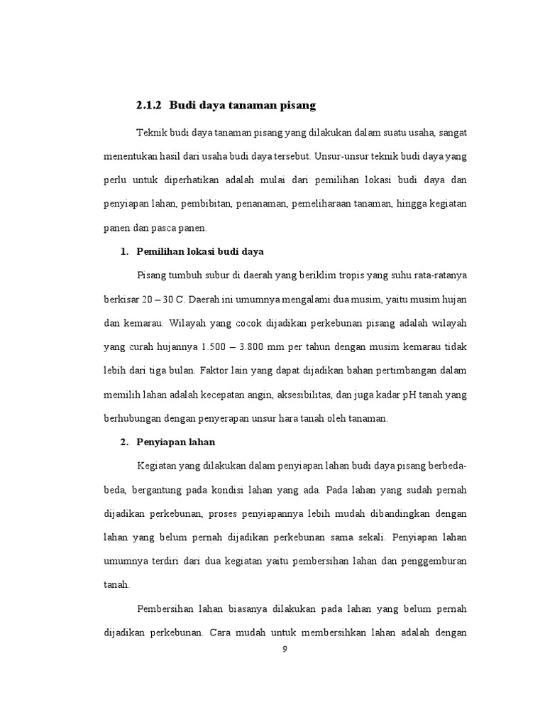 2.1.2 Perbandingan Kecepatan Proses Pematangan Buah Pisang Raja Bulu ...