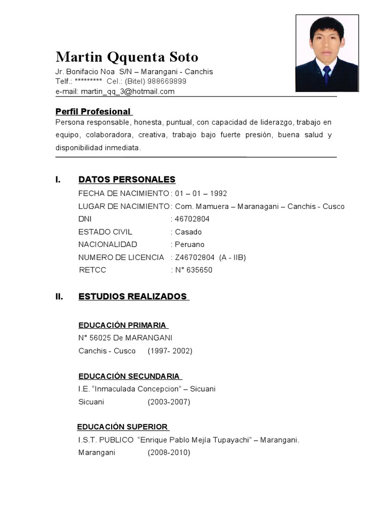 CV Martin | PDF
