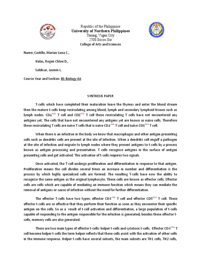 Synthesis Paper | PDF | T Cell | T Helper Cell