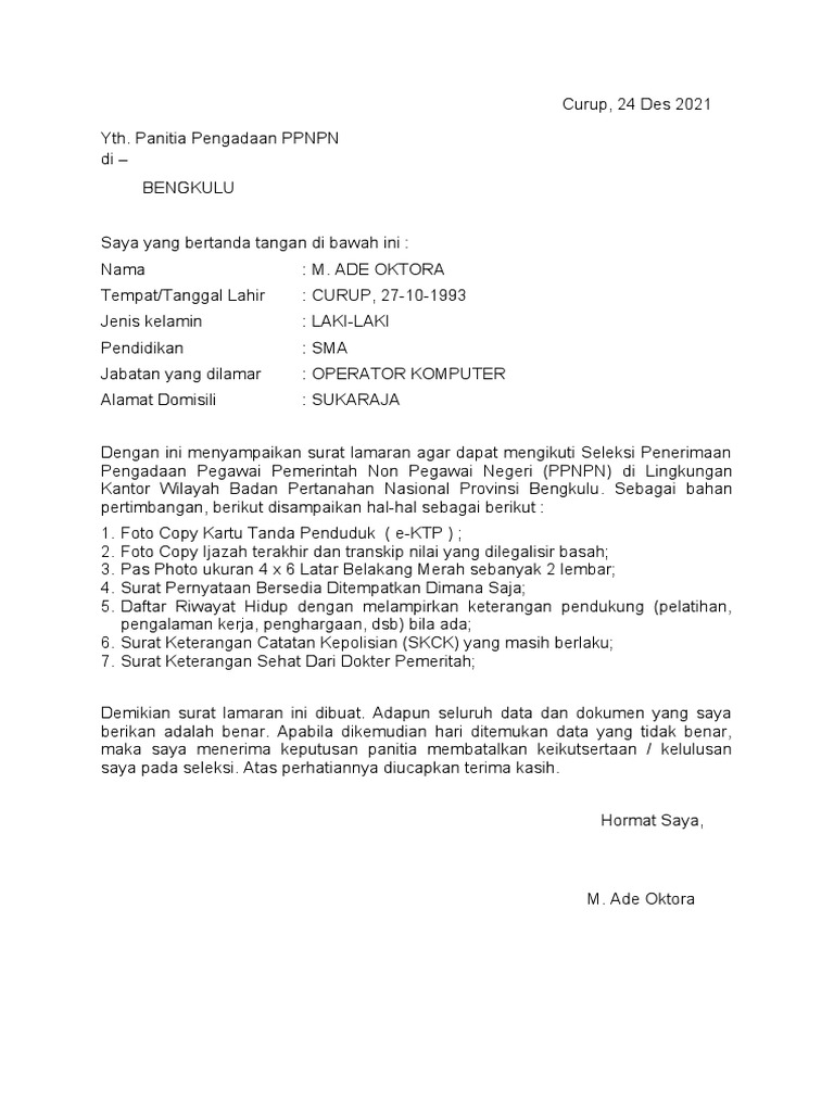 Surat Lamaran PPNPN | PDF