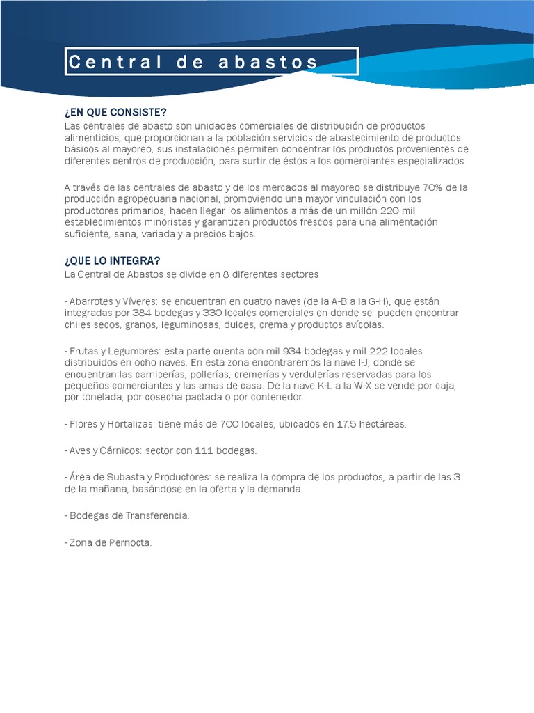 CENTRAL DE ABASTOS Investigación | PDF | Comida y bebida | Economias