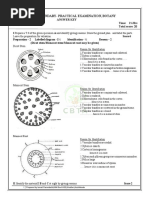 BOTANY RECORD MARCH 2025 FINAL | PDF | Botany | Plants