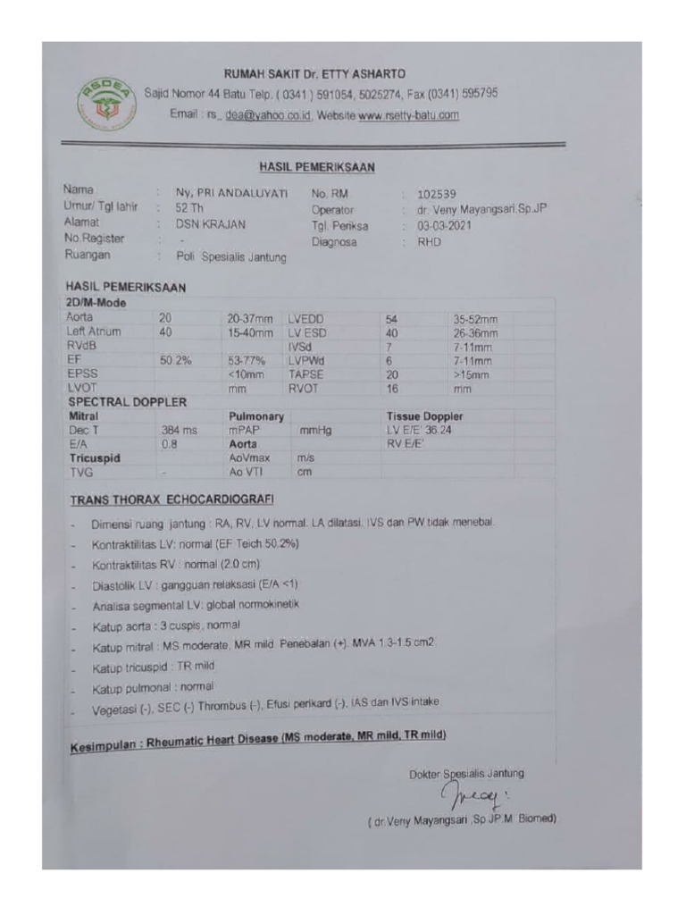 HASIL ECHO Pri | PDF