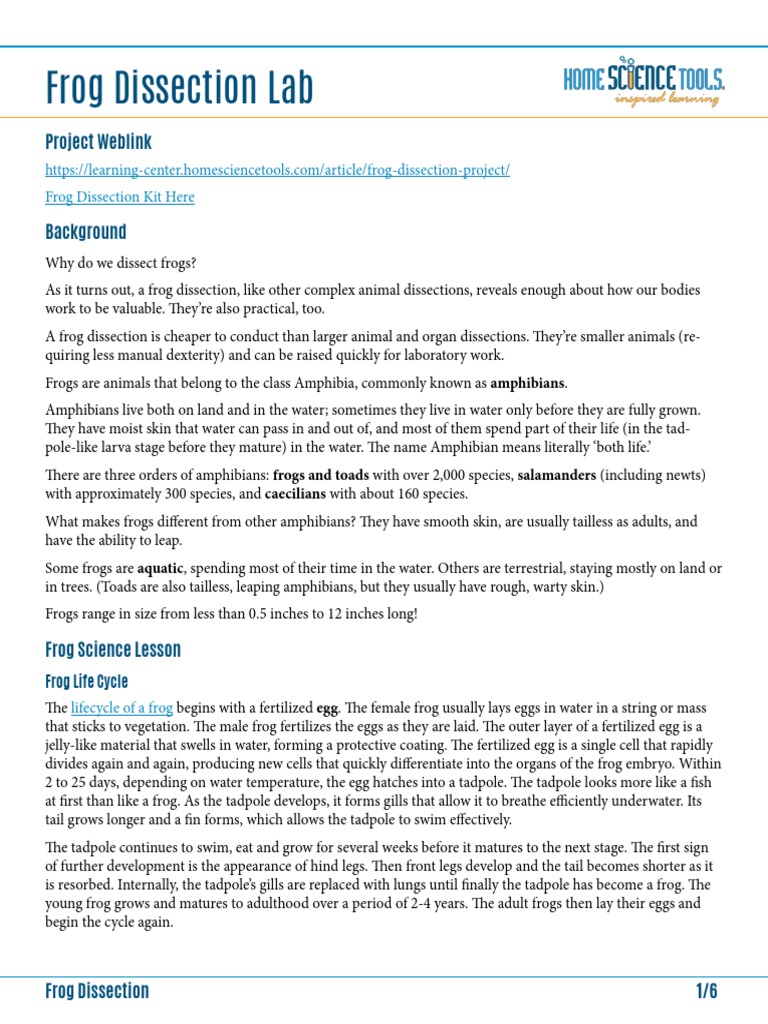 Frog Dissection Lab | PDF