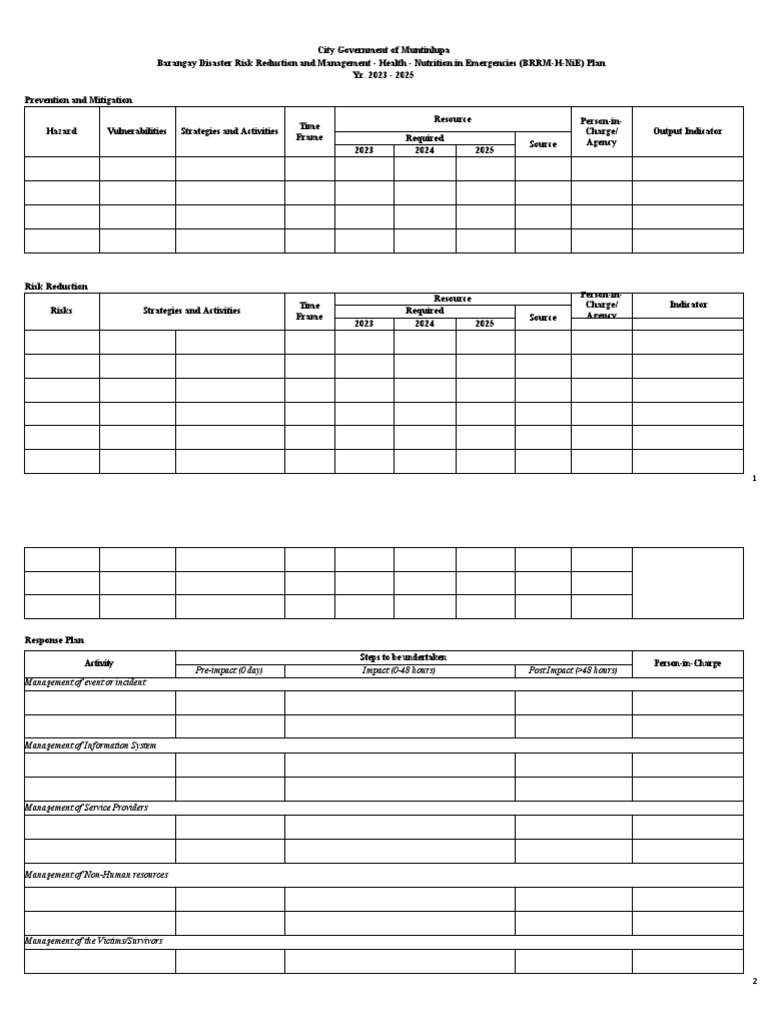 BDRRM H NiE PLAN Form 3 Years | PDF | Breastfeeding | Emergency Management