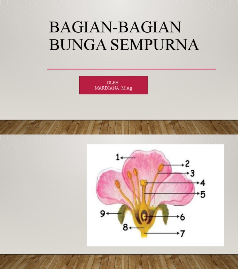 Bagian-Bagian Bunga Sempurna | PDF