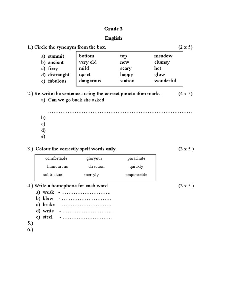 Grade 3 - Term End Test Paper | PDF