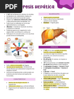 Fisiopatologia de La Cirrosis Hepatica | PDF | Cirrosis | Hígado