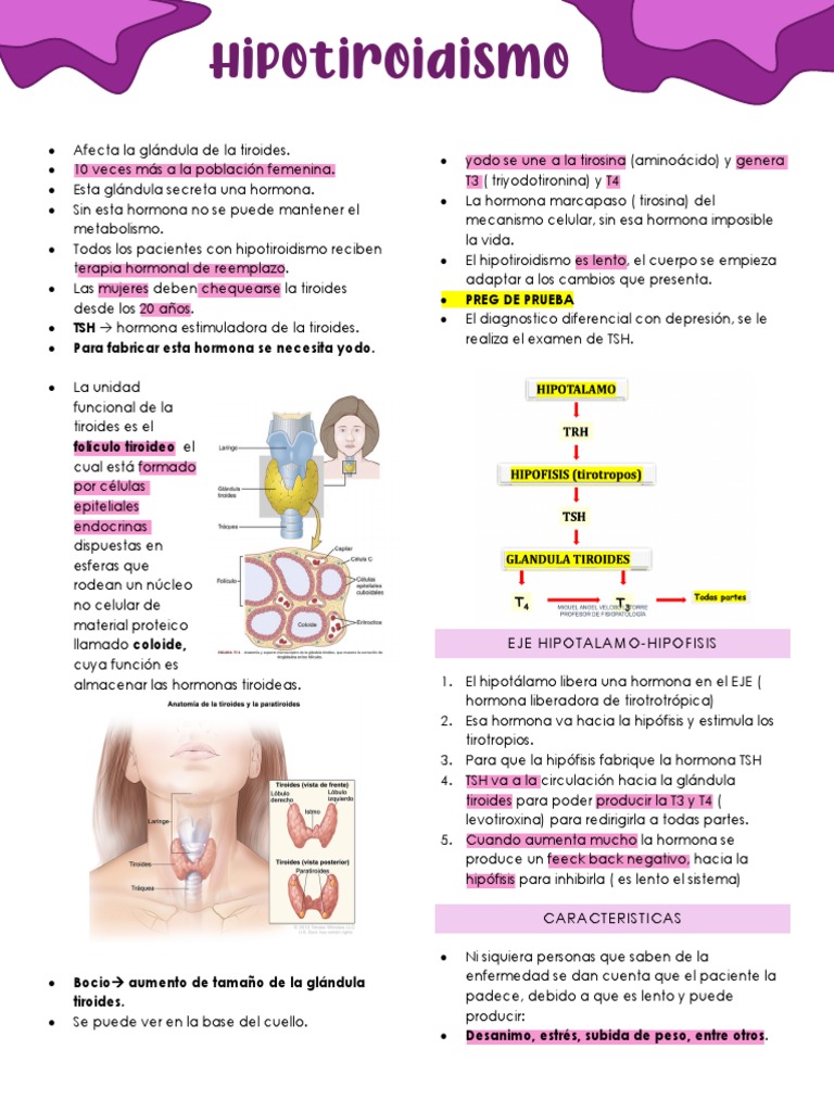 Hipotiroidismo e Hipertiroidismo | PDF | Tiroides | Hormona estimulante de la tiroides