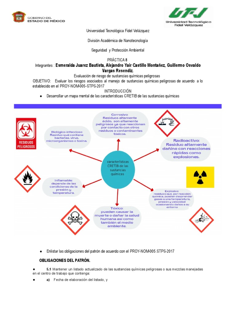 Practica 8 PROY-NOM-005-STPS-2017 | PDF | Toxicidad | Gases