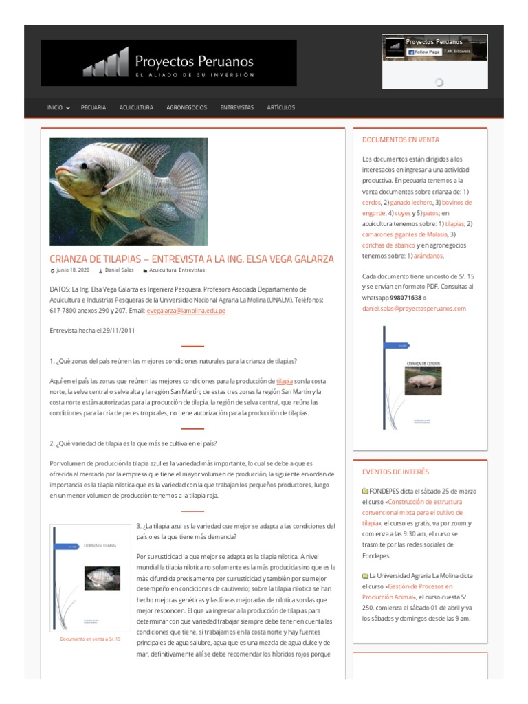 Proyectosperuanos-Com-Tilapias Entrevista Ing Elsa Vega | PDF ...