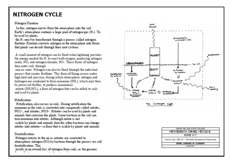 The Nitrogen Cycle: Transformations Between Atmospheric, Soil, and ...