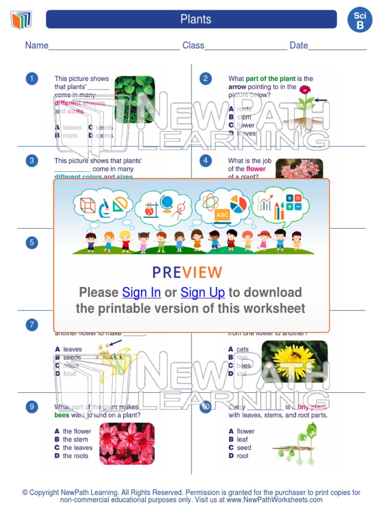 Worksheet Science Grade 2 Plants 1 | PDF | Environmental Law | Natural ...