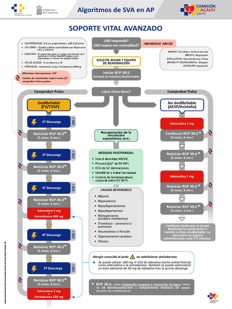 Algoritmos SVA | PDF | Reanimación cardiopulmonar | Especialidades Medicas