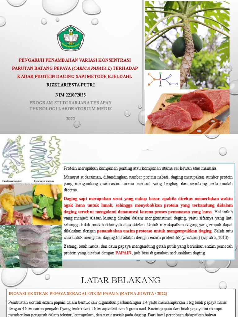 Sidang Proposal Pdf