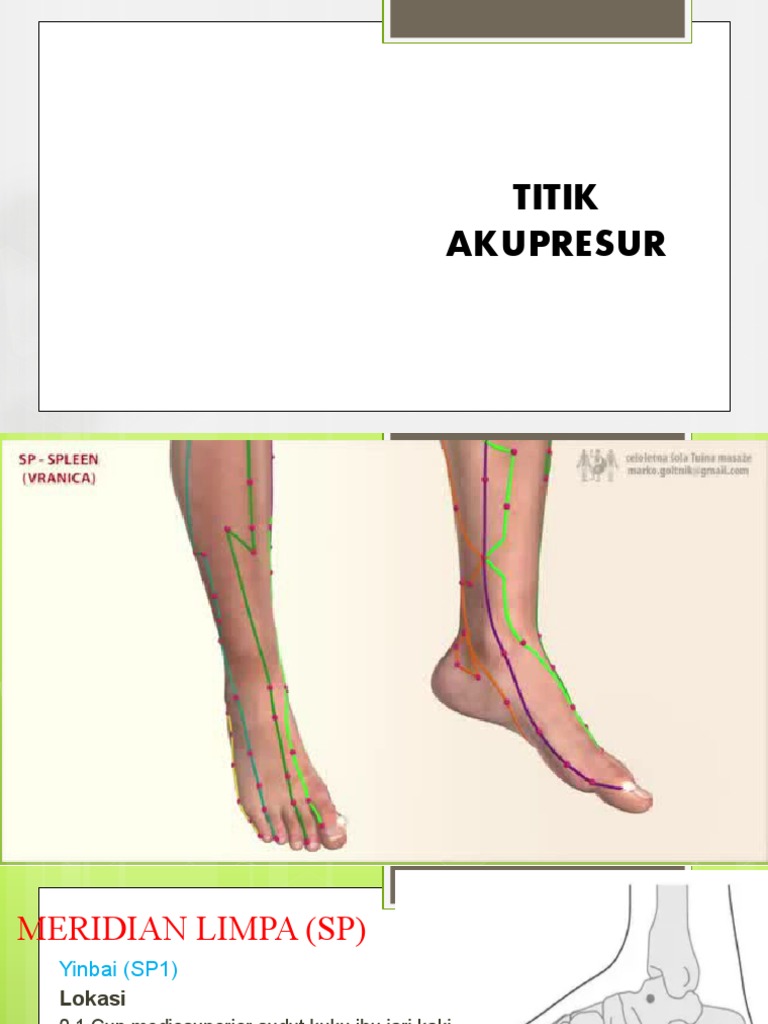 3b. Meridian SP HT Si | PDF | Kesehatan Holistik