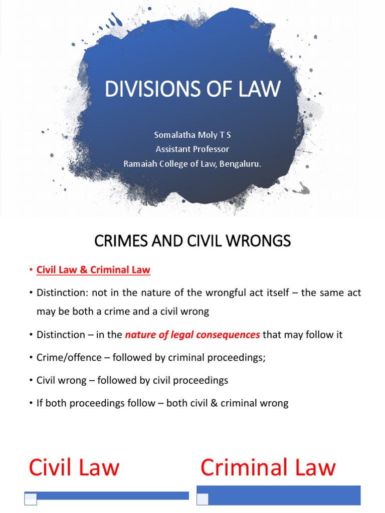 Divisions of Law | PDF | Tort | Equity (Law)