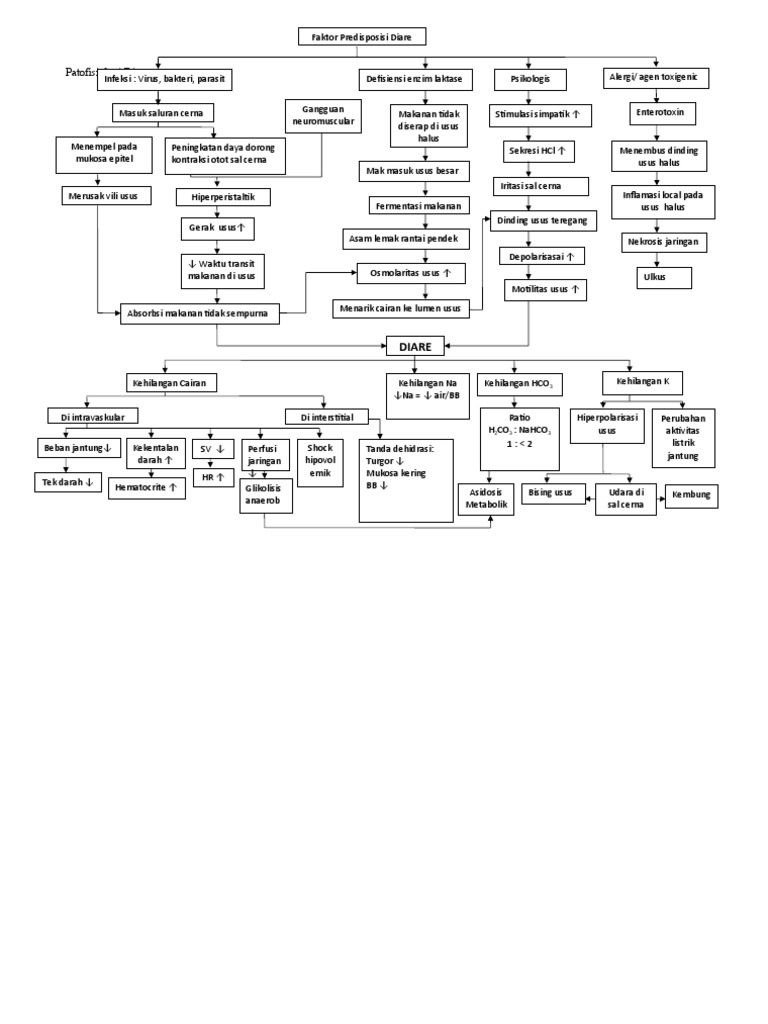 Patofisiologi Diare Dan GEA | PDF