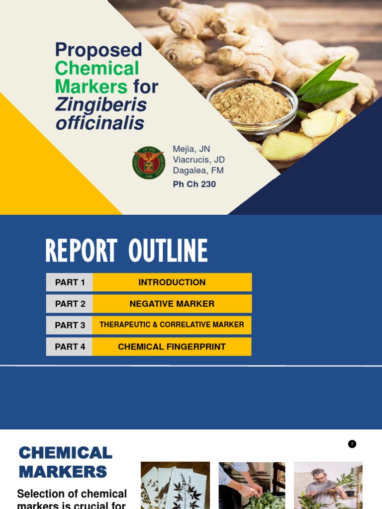 PHCH 230 - Report 2 Ginger Chemical Marker PDF | PDF | Chromatography | High Performance Liquid ...