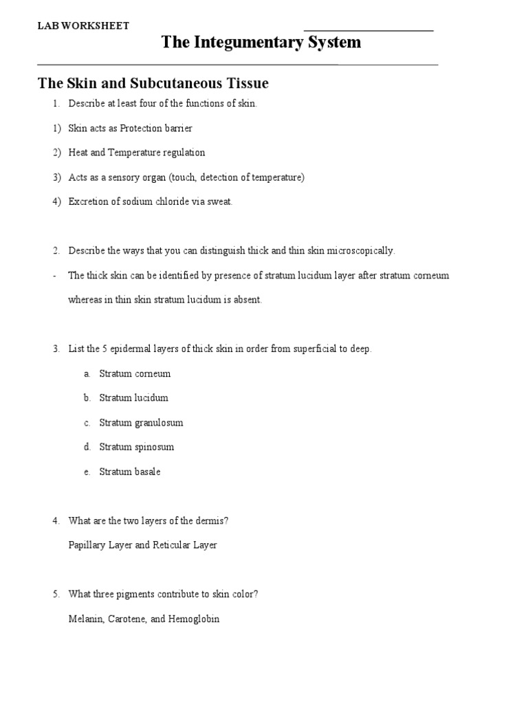 Unit 1 The Integumentary System | PDF | Skin | Integumentary System