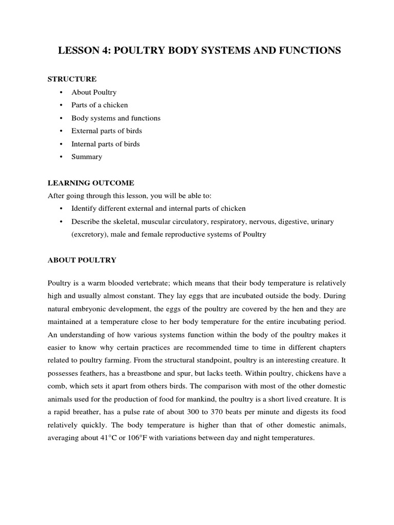 Chicken Anatomy and Body Functions | PDF | Digestion | Bile
