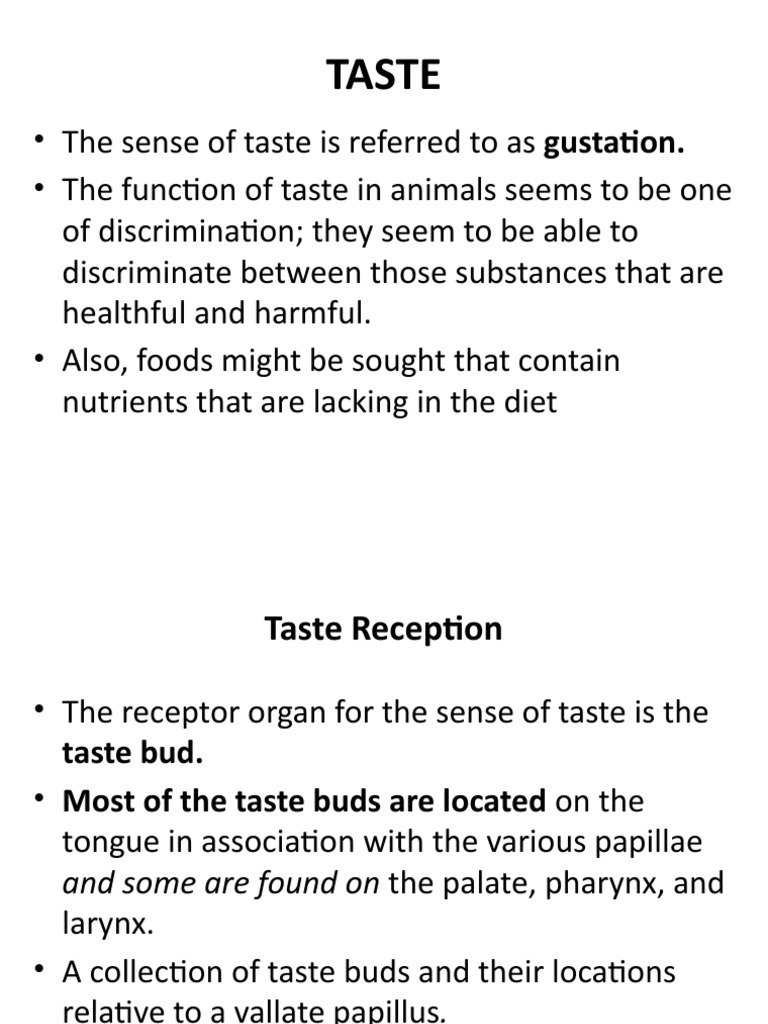 Taste and Smell | PDF | Taste | Senses