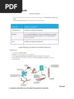 IGCSE Biology Topic 8 Transport in Plants Presentation | PDF | Leaf ...