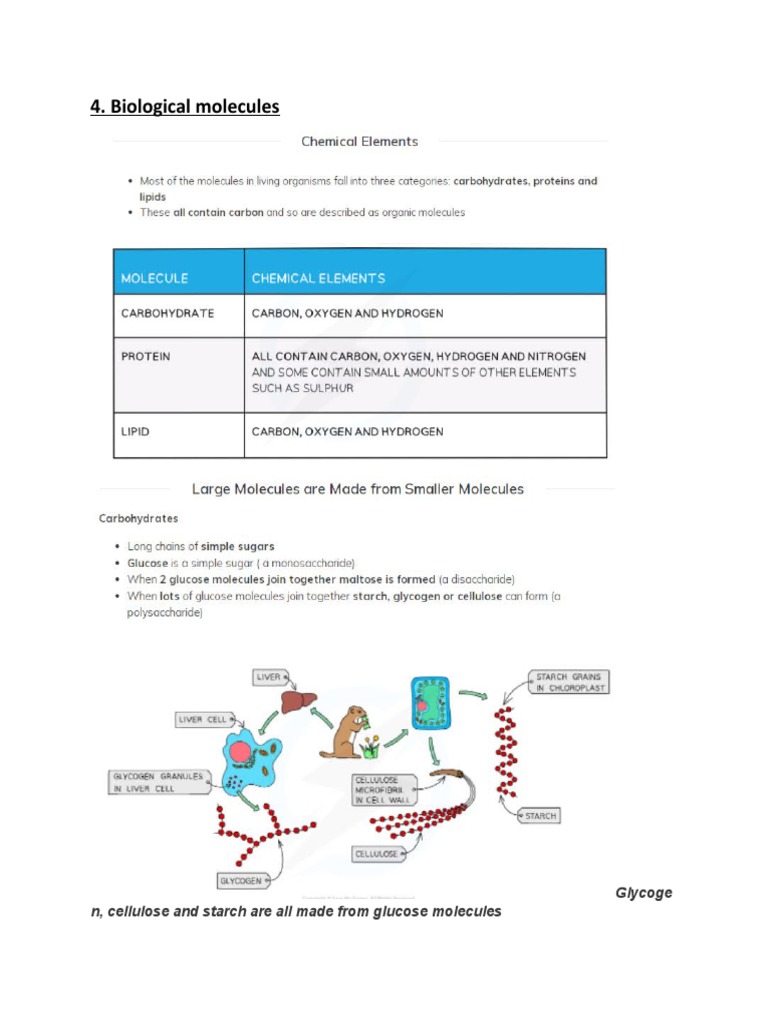 IGCSE BIOLOGY Biological Molecules-Notes | PDF